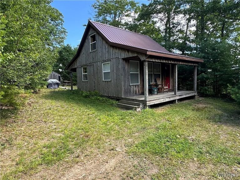 96.64 Acres with Cabin in Alma, New York - Home Gems