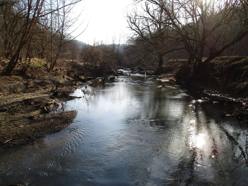 57 Acres with Home in Normantown, West Virginia - Home Gems