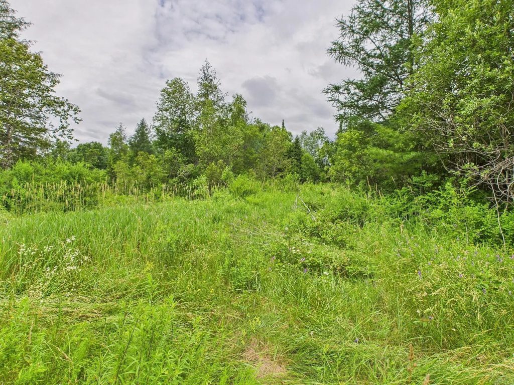Off-Grid Camp on 24 Acres in Sherman, Maine - Home Gems