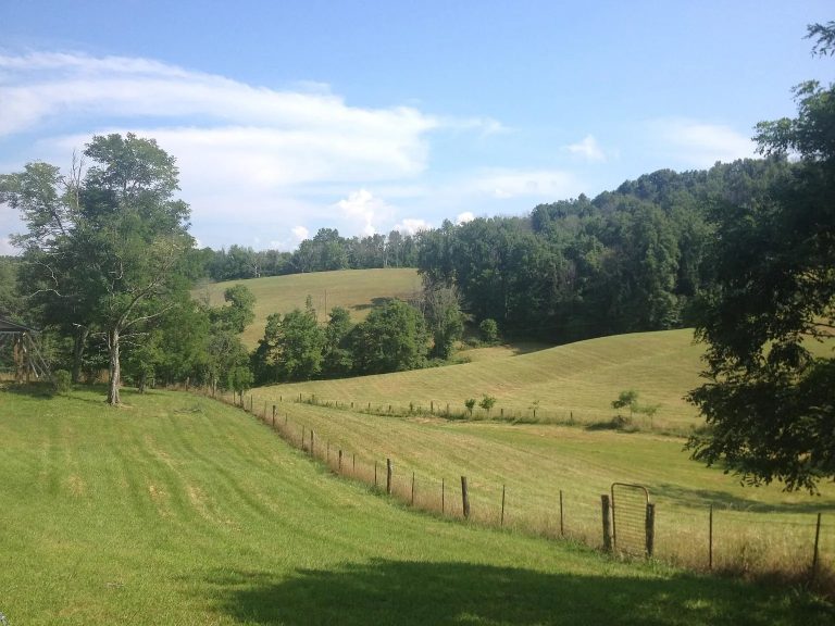 Rustic Cabin Property with 57.43 Acres in Genoa, West Virginia – 24/7