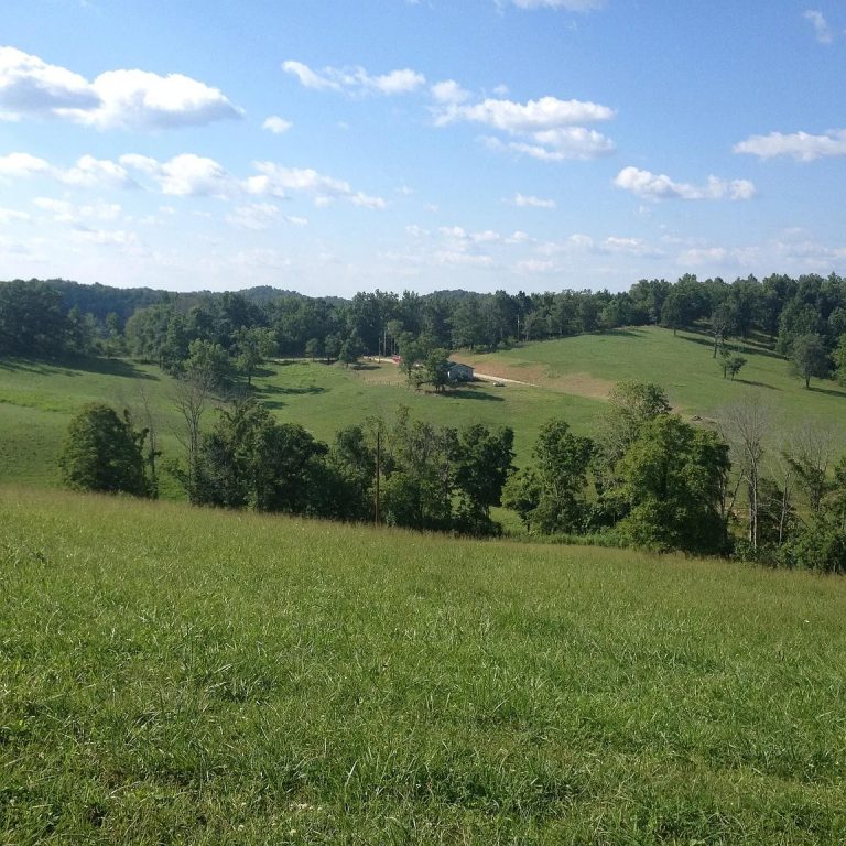 Rustic Cabin Property with 57.43 Acres in Genoa, West Virginia – 24/7