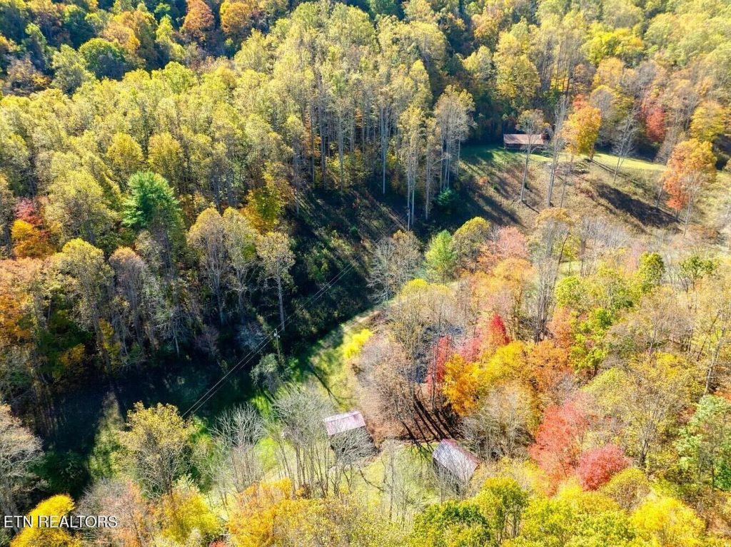 Cabin with 103 Acres in Roan Mountain, Tennessee - Segem Ders Notları