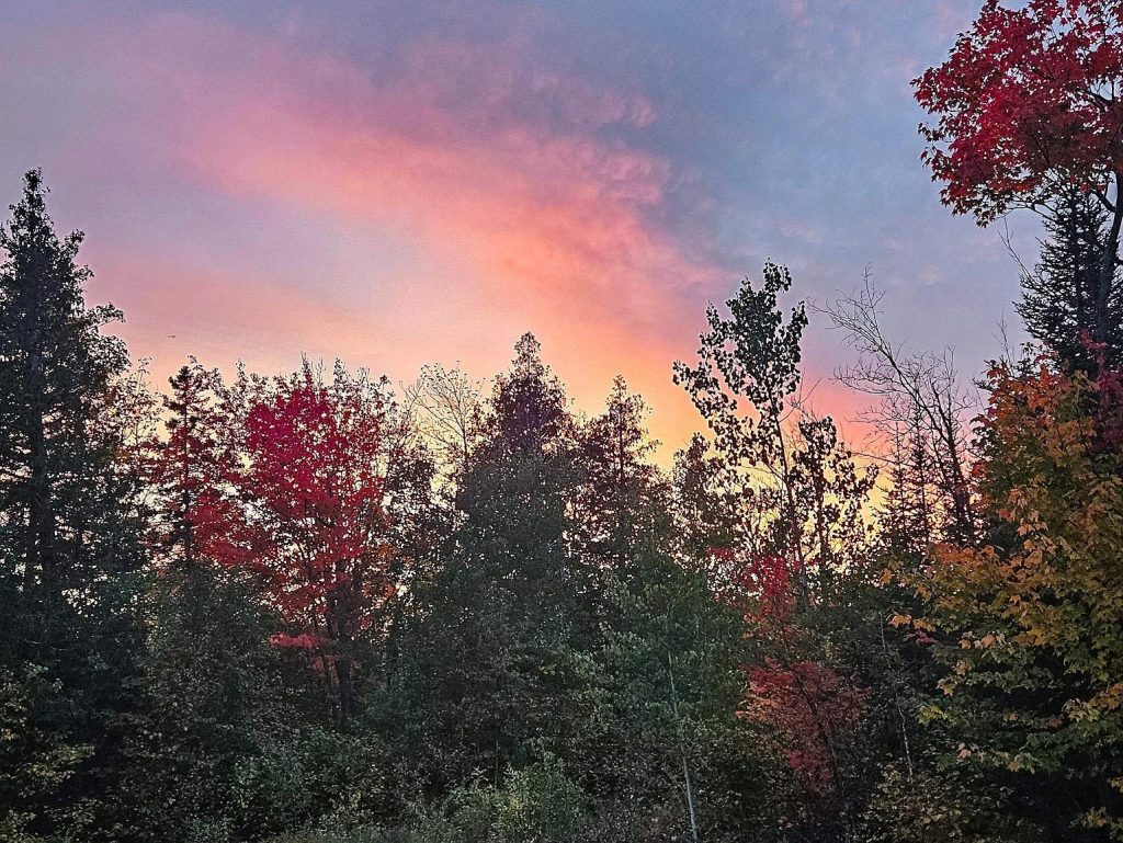 Home with 37.18 Acres in Hovland, Minnesota - Home Gems