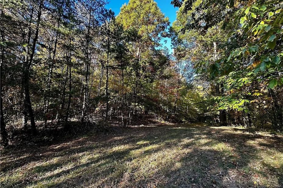 Land with 50 Acres in Saint Marys, West Virginia - Home Gems